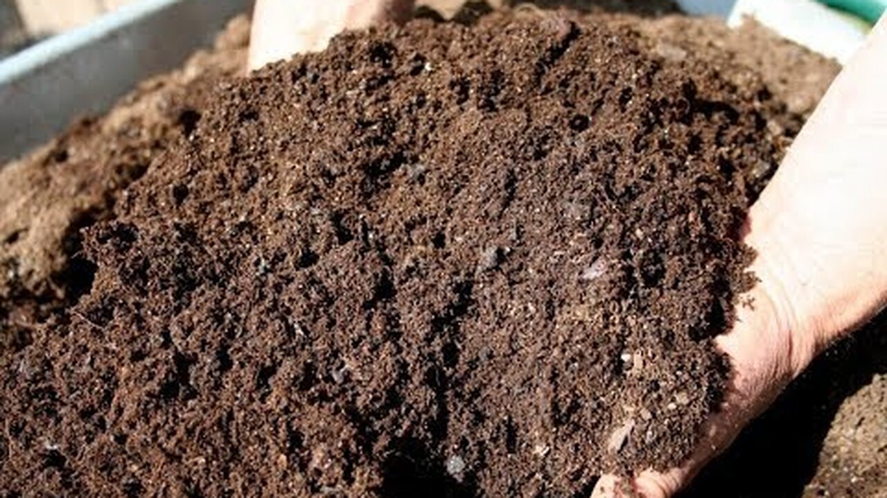 Co je humus: jak vyrobit, skladovat a používat